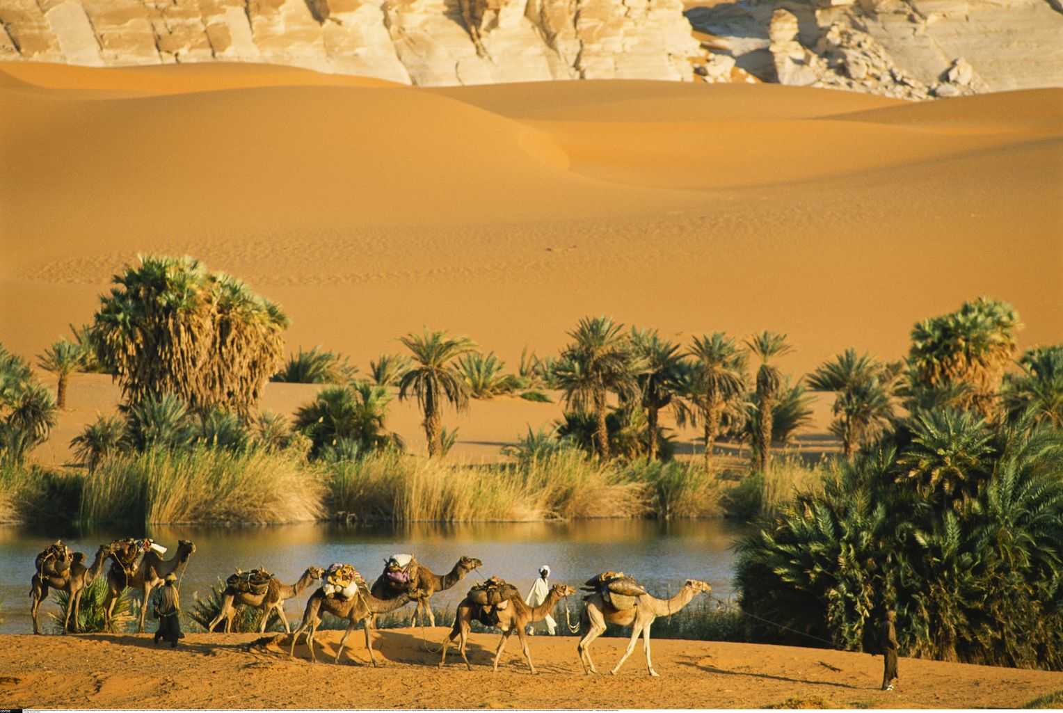 Moroccan Travel Agency & Tour Operators, New York | S & J Tours